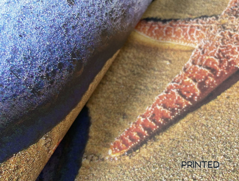 Bondi Sands – DreamScape Digital Wallcoverings